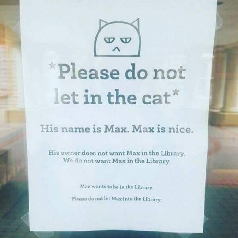 35 Funny Library Memes for Book Lovers