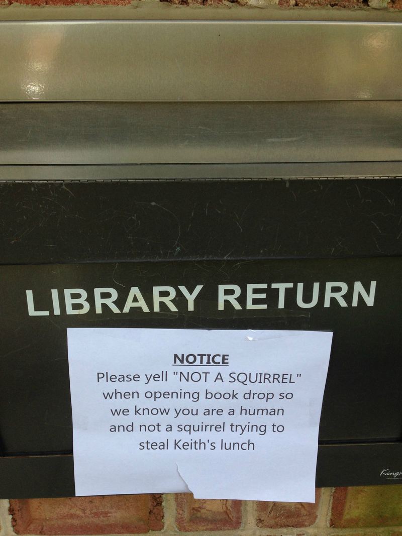 35 Funny Library Memes for Book Lovers