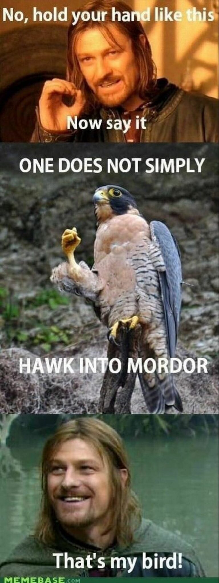 33 Funny Lord Of The Rings Memes