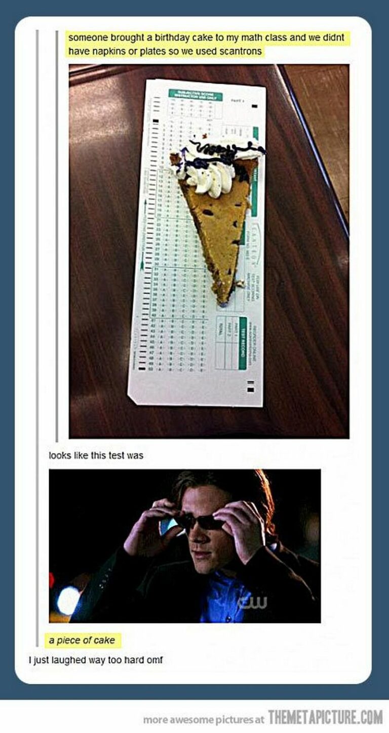 31 Funny Math Memes for Students