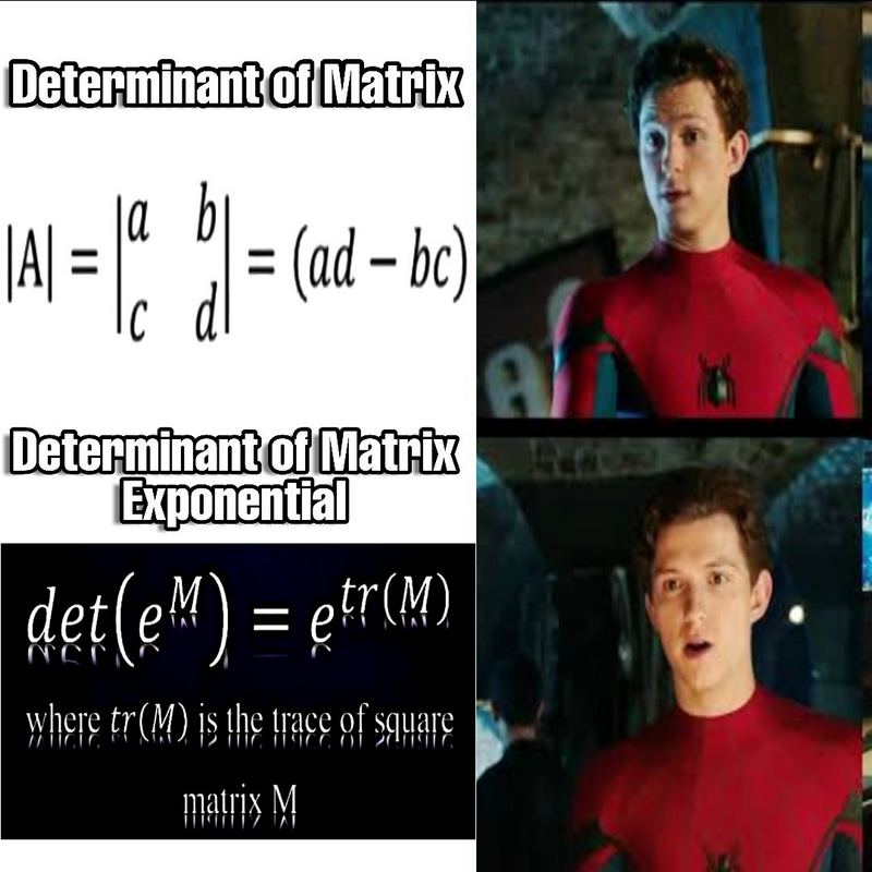 31 Funny Math Memes for Students
