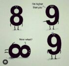 31 Funny Math Memes for Students