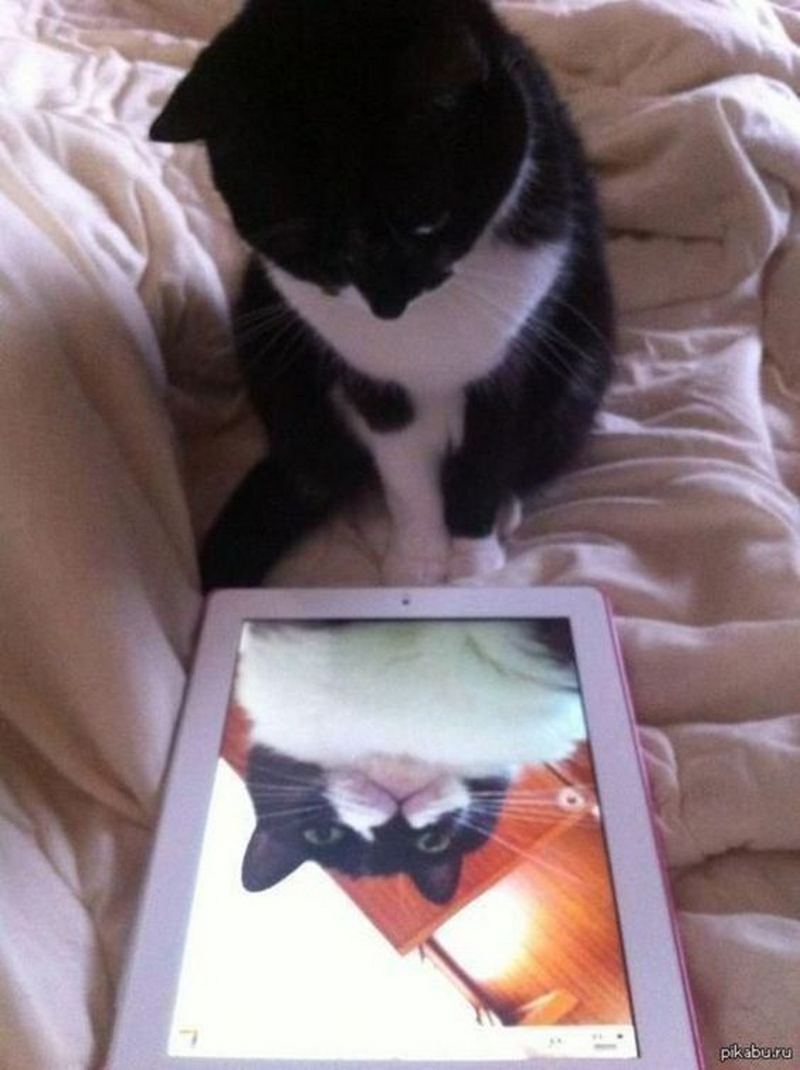 65 Hilarious Selfie Fails by Funny People