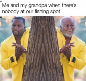 37 Funny Fish Memes From the Sea
