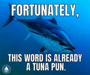 37 Funny Fish Memes From the Sea