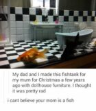 37 Funny Fish Memes From the Sea