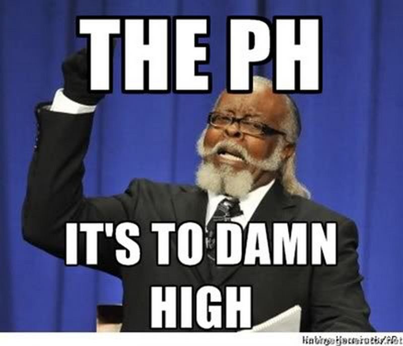 37 Funny Fish Memes From the Sea