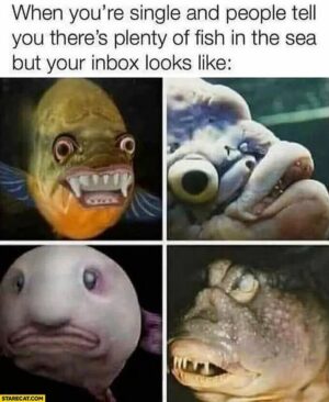 37 Funny Fish Memes From the Sea