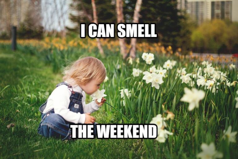 73 Funny Happy Friday Memes That Will Make You Say "TGIF"