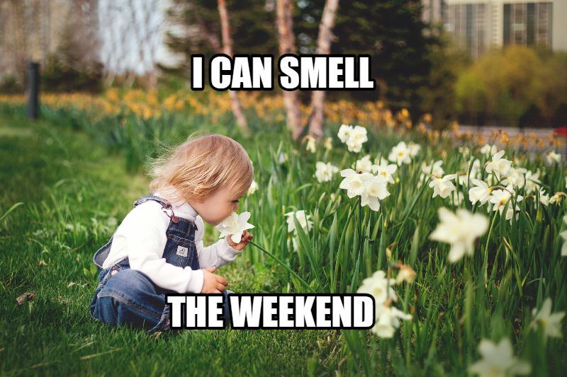 73 Funny Happy Friday Memes That Will Make You Say "TGIF"