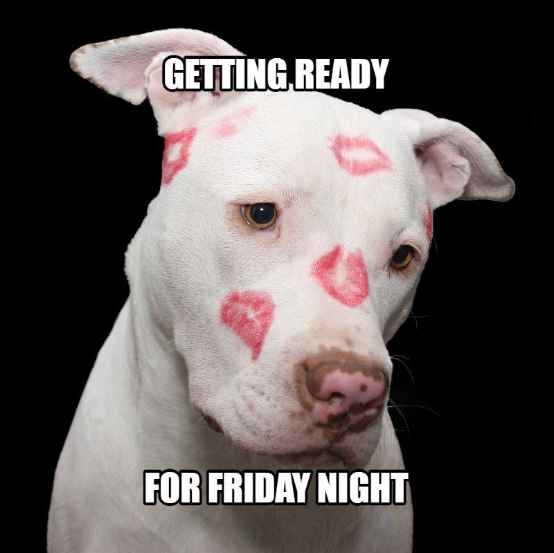 73 Funny Happy Friday Memes That Will Make You Say "TGIF"