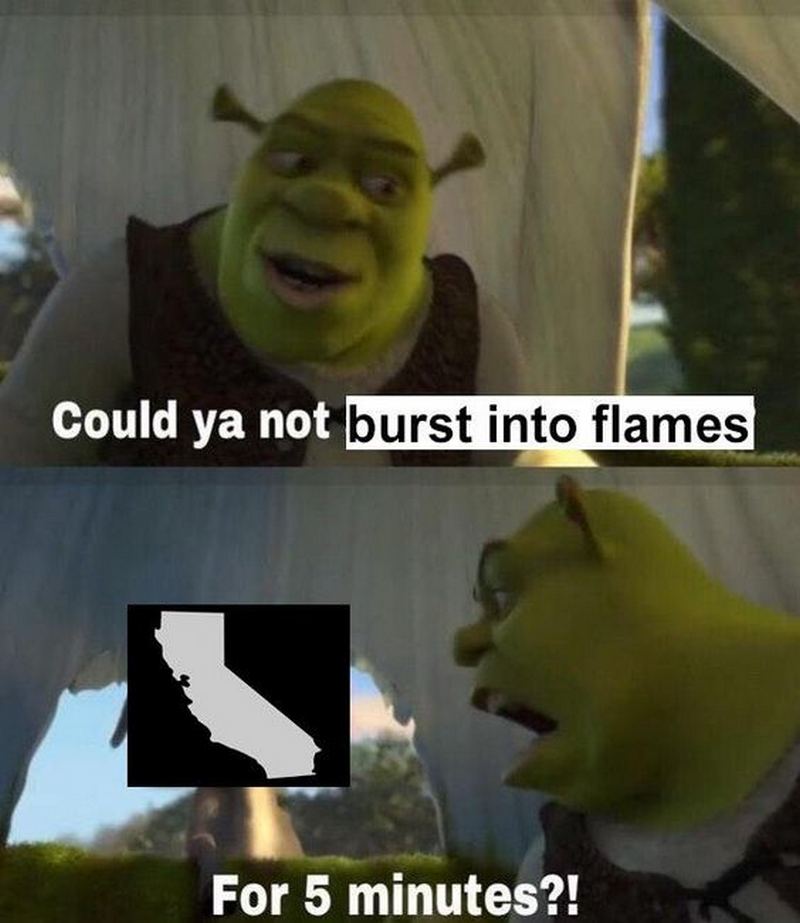 35 Funny Shrek Memes That Are Ogre-Approved