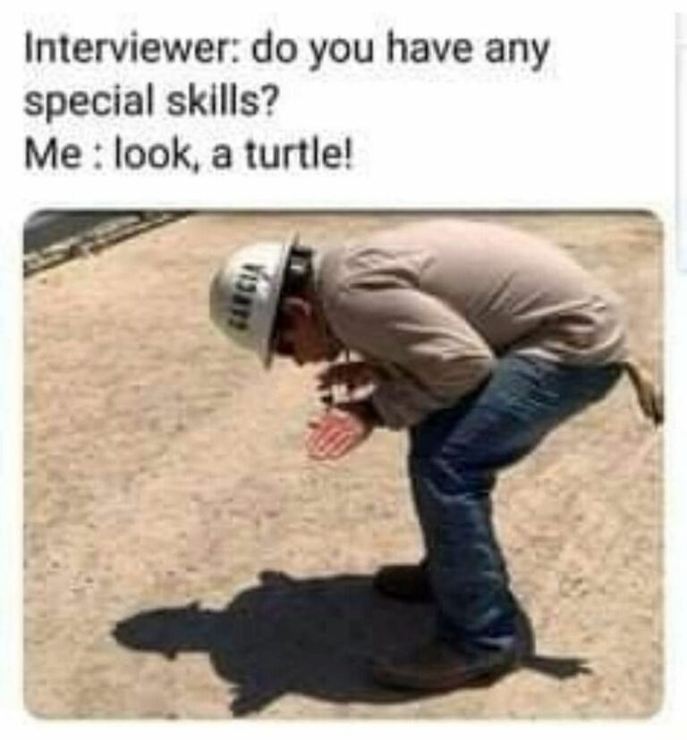 63 Funny Turtle Memes That Are Hilarious