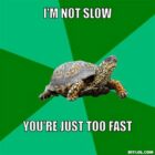 63 Funny Turtle Memes That Are Hilarious