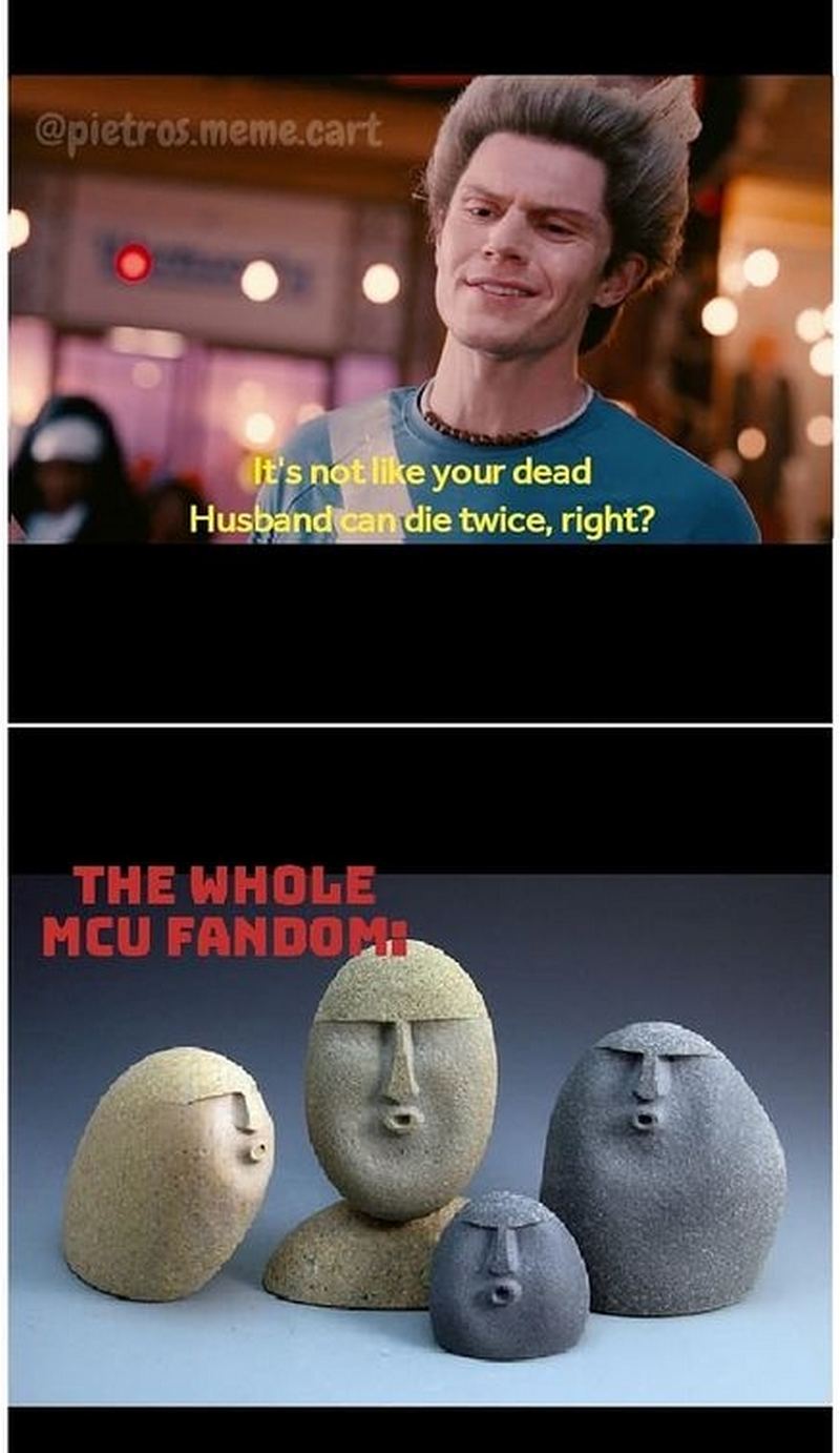 31 Funny WandaVision Memes for MCU Fans