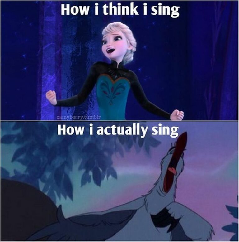 39 Funny Frozen Memes Featuring Disney Characters