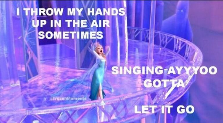 39 Funny Frozen Memes Featuring Disney Characters