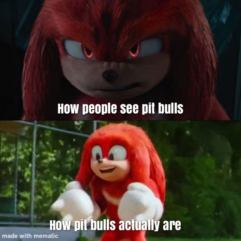 29 Funny Sonic the Hedgehog Memes