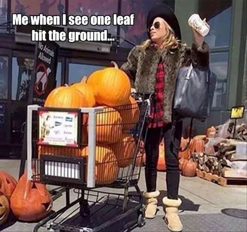 45 Funny Fall Memes for Autumn
