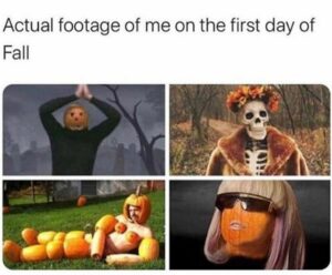 45 Funny Fall Memes for Autumn