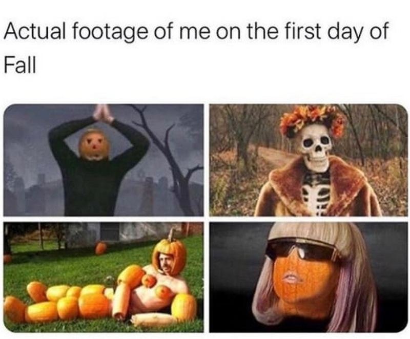 45 Funny Fall Memes for Autumn