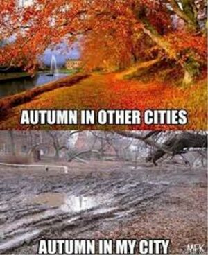 45 Funny Fall Memes for Autumn