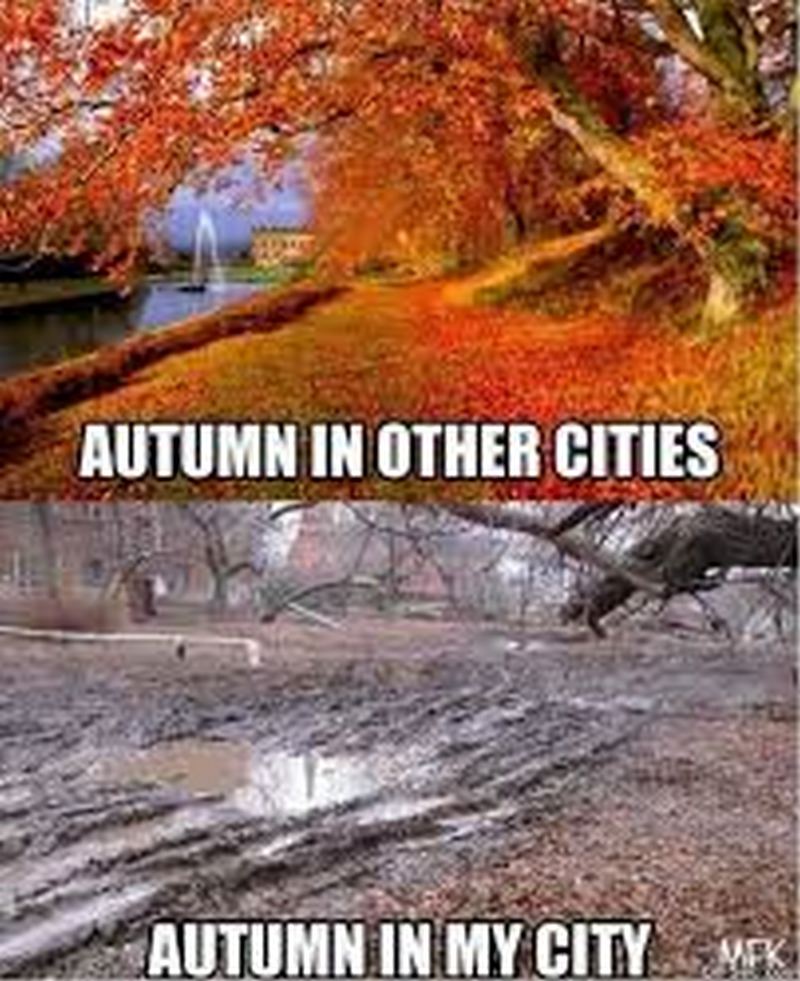45 Funny Fall Memes for Autumn