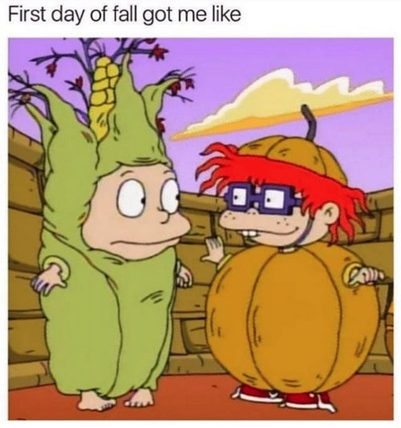 45 Funny Fall Memes for Autumn