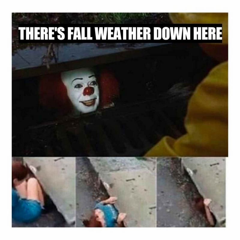 45 Funny Fall Memes for Autumn