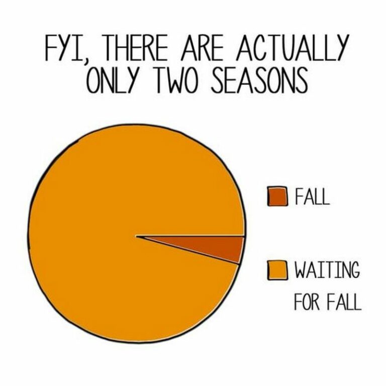 45 Funny Fall Memes for Autumn
