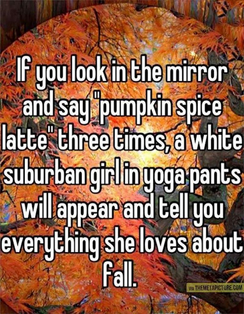 45 Funny Fall Memes for Autumn