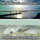 37 Funny Fishing Memes to Reel In