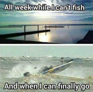 37 Funny Fishing Memes to Reel In