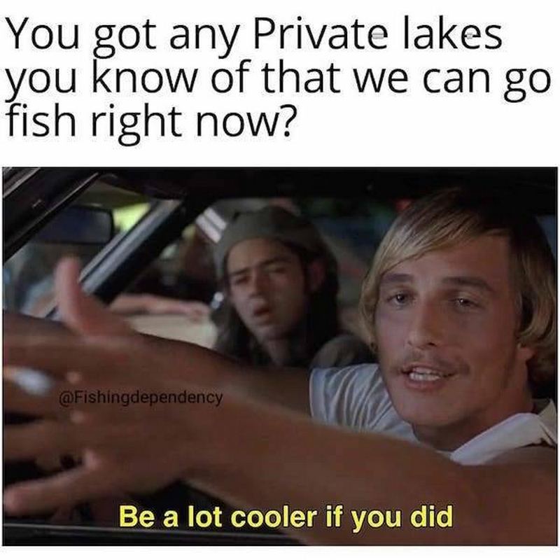37 Funny Fishing Memes to Reel In