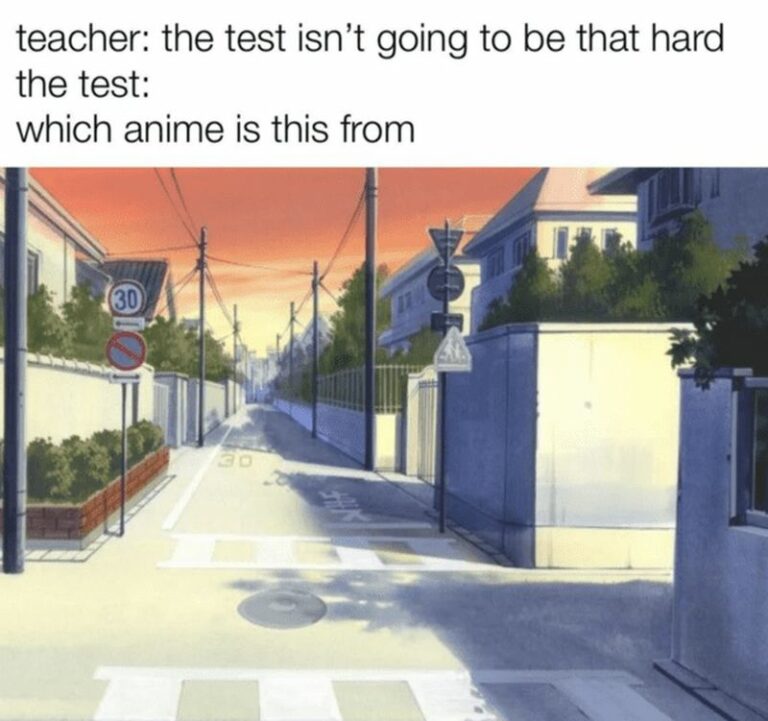 33 Funny Anime Memes Fans Will Understand