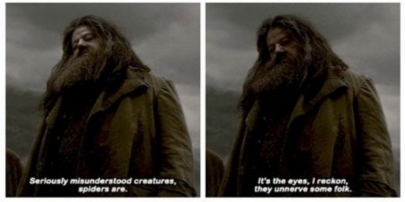 81 Best Harry Potter Quotes