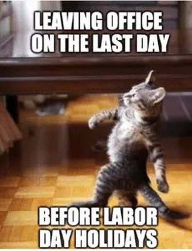 45 Funny Labor Day Memes