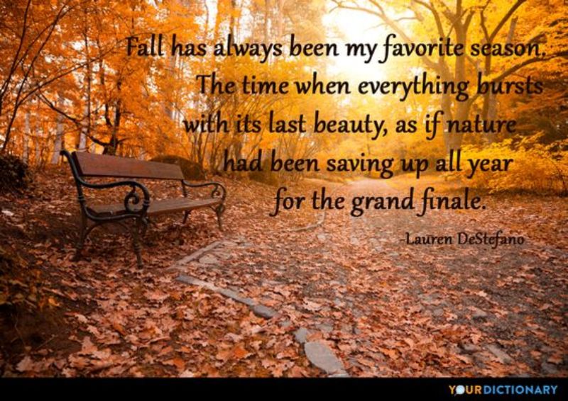 35 Wonderful Fall Season Quotes