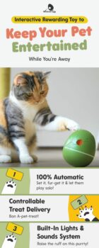 5 Reasons Why the Wicked Egg Is the Best Interactive Pet Toy