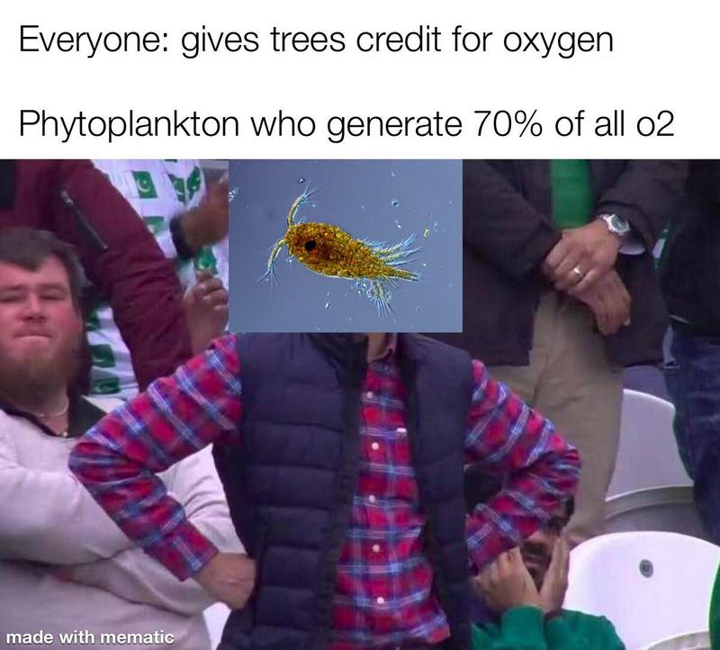 31 Funny Science Memes Based on Facts