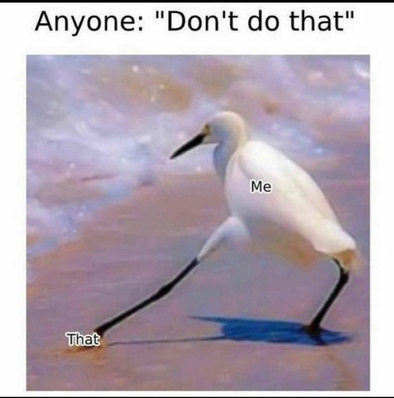 31 Memes That Are So Bad That They Are Kind of Good