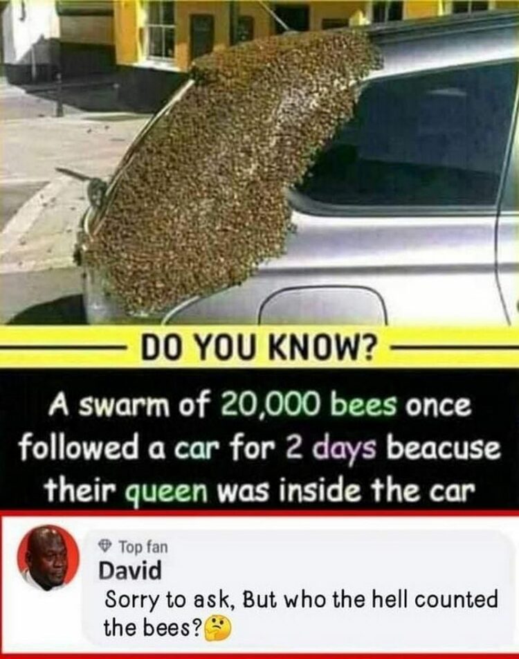 31 Memes That Are So Bad That They Are Kind of Good