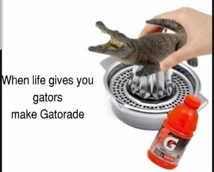 31 Memes That Are So Bad That They Are Kind of Good