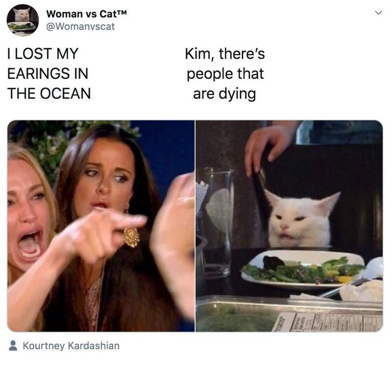 37 Woman Yelling at a Cat Memes
