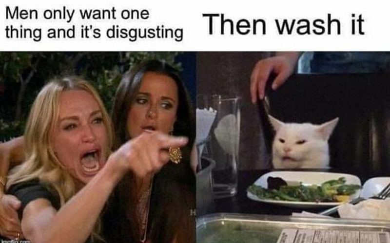37 Woman Yelling at a Cat Memes