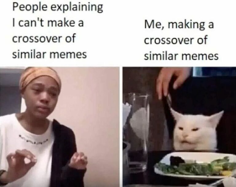 37 Woman Yelling at a Cat Memes