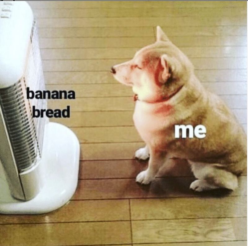 33 Funny Bread Memes You’ll Love