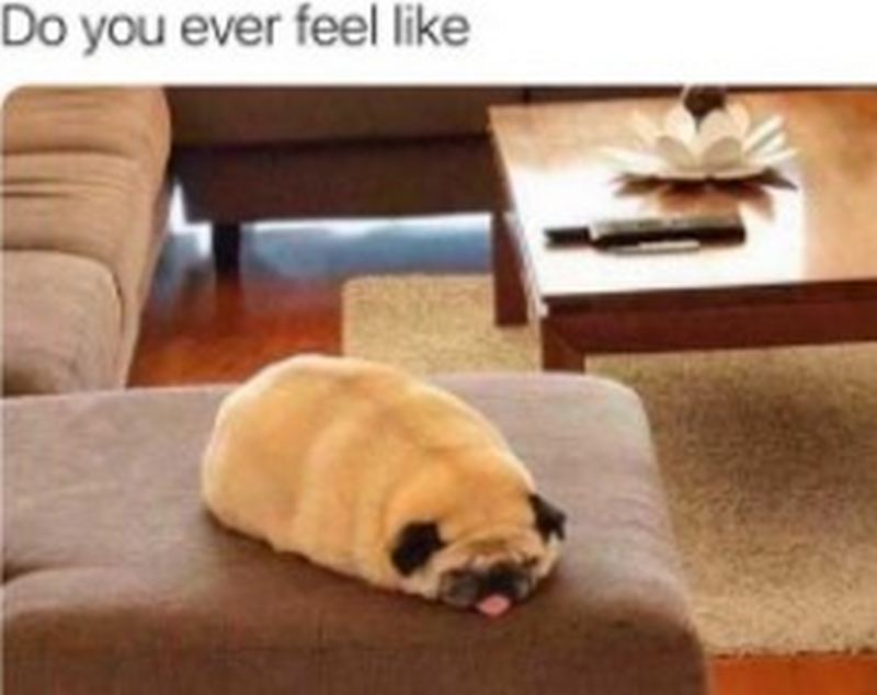 33 Funny Bread Memes You’ll Love