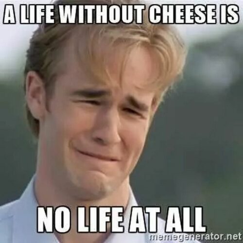 35 Funny Cheese Memes With Extra Cheesiness