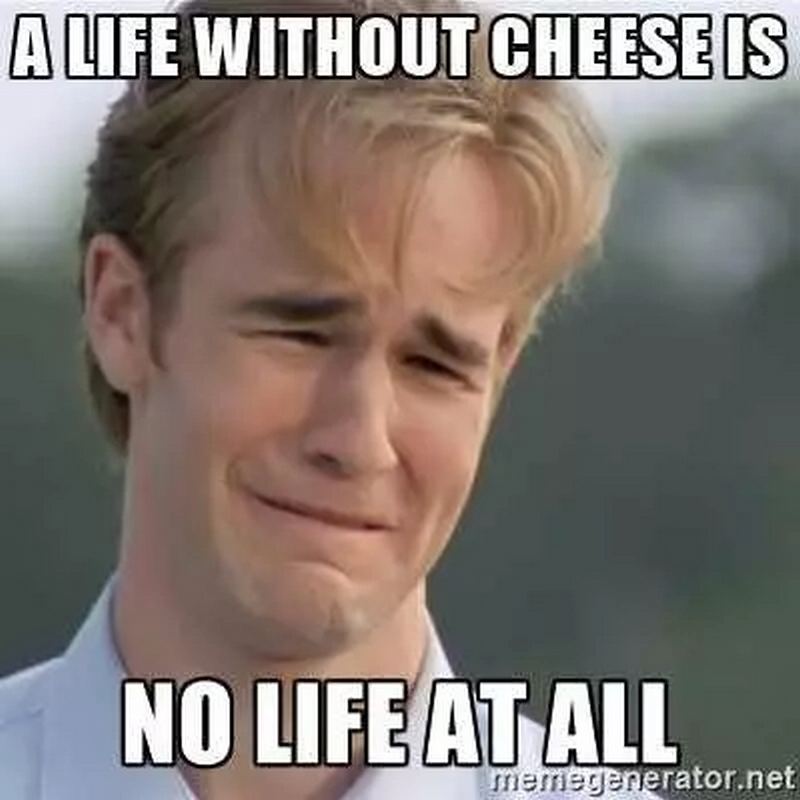 35 Funny Cheese Memes With Extra Cheesiness